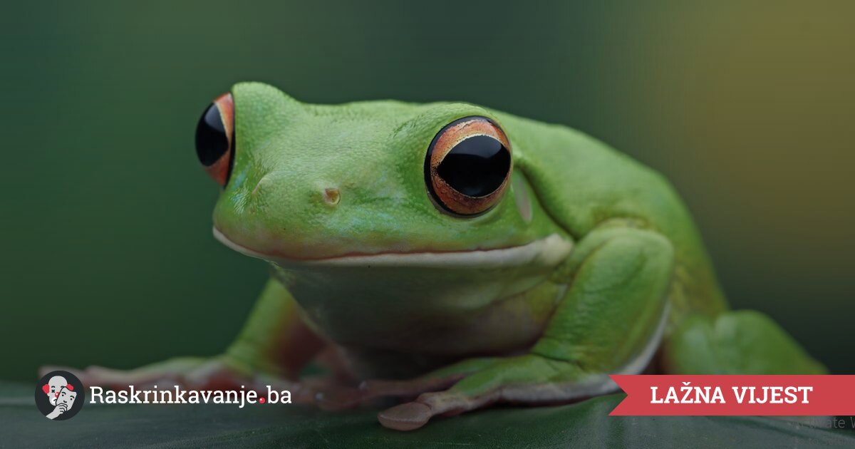 Raskrinkavanje - Oznaka zelene žabe na proizvodima ne znači da su otrovni